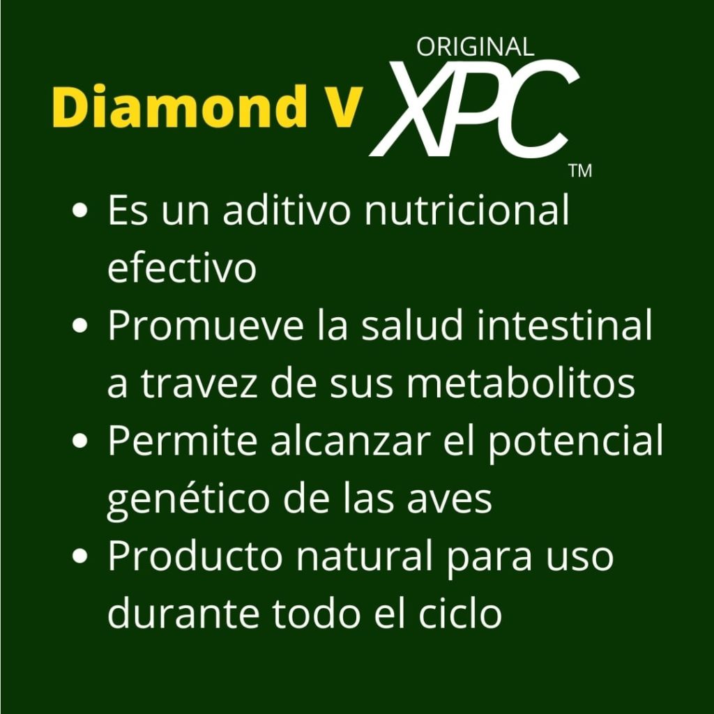 Original XPC™ – GrupoNutre